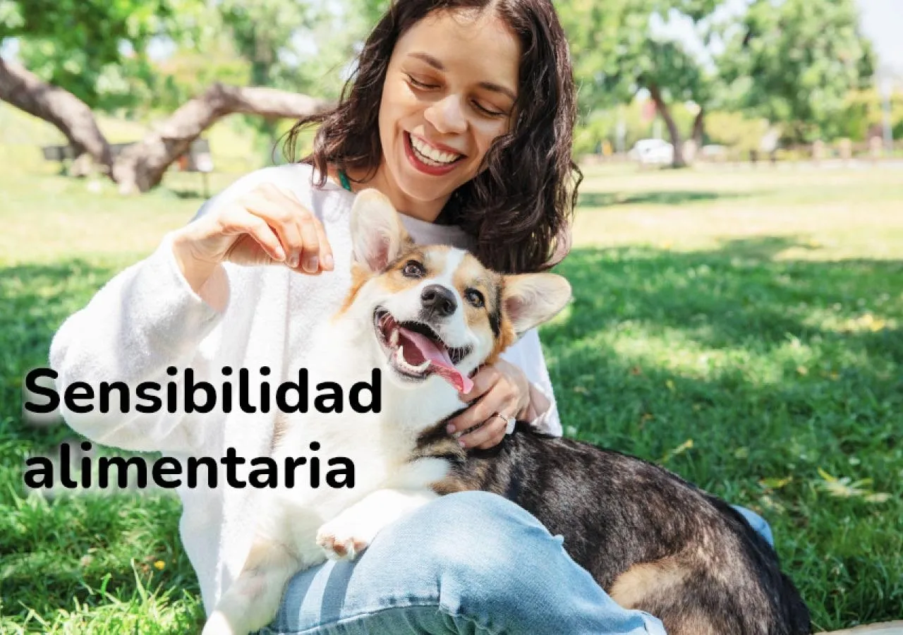 Noticia ayuda a tu perro con sensibilidades alimentarias - Viaja con tu ...